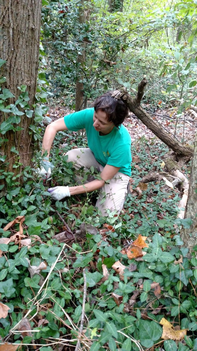 Riverine Chapter of Virginia Master Naturalists – Engaging with Nature ...